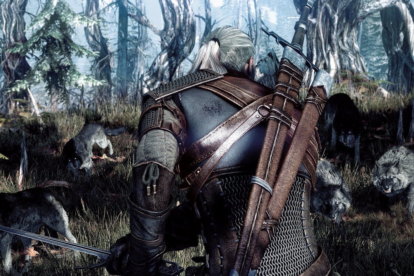 The Witcher 3: Missing Brother | Eurogamer.net