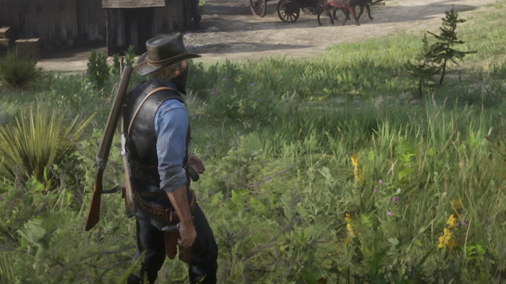 Red Dead Redemption 2: Alle Pflanzen und wo ihr sie findet | Eurogamer.de