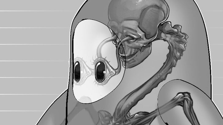 Fall Guys reveals the disgusting internal anatomy of its bean-like ...