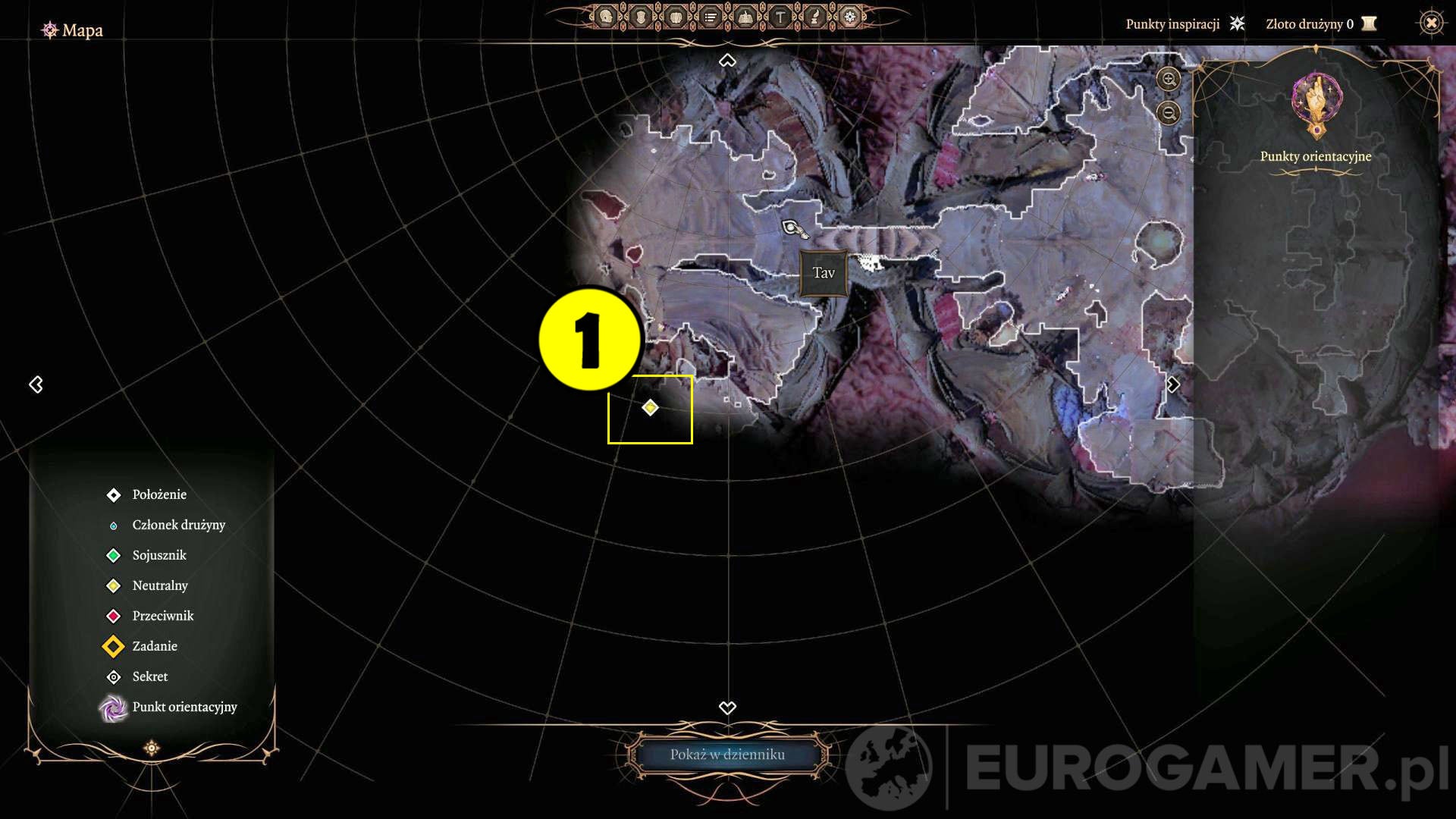 Baldur's Gate 3 - zagadka: Myrnath | Eurogamer.pl