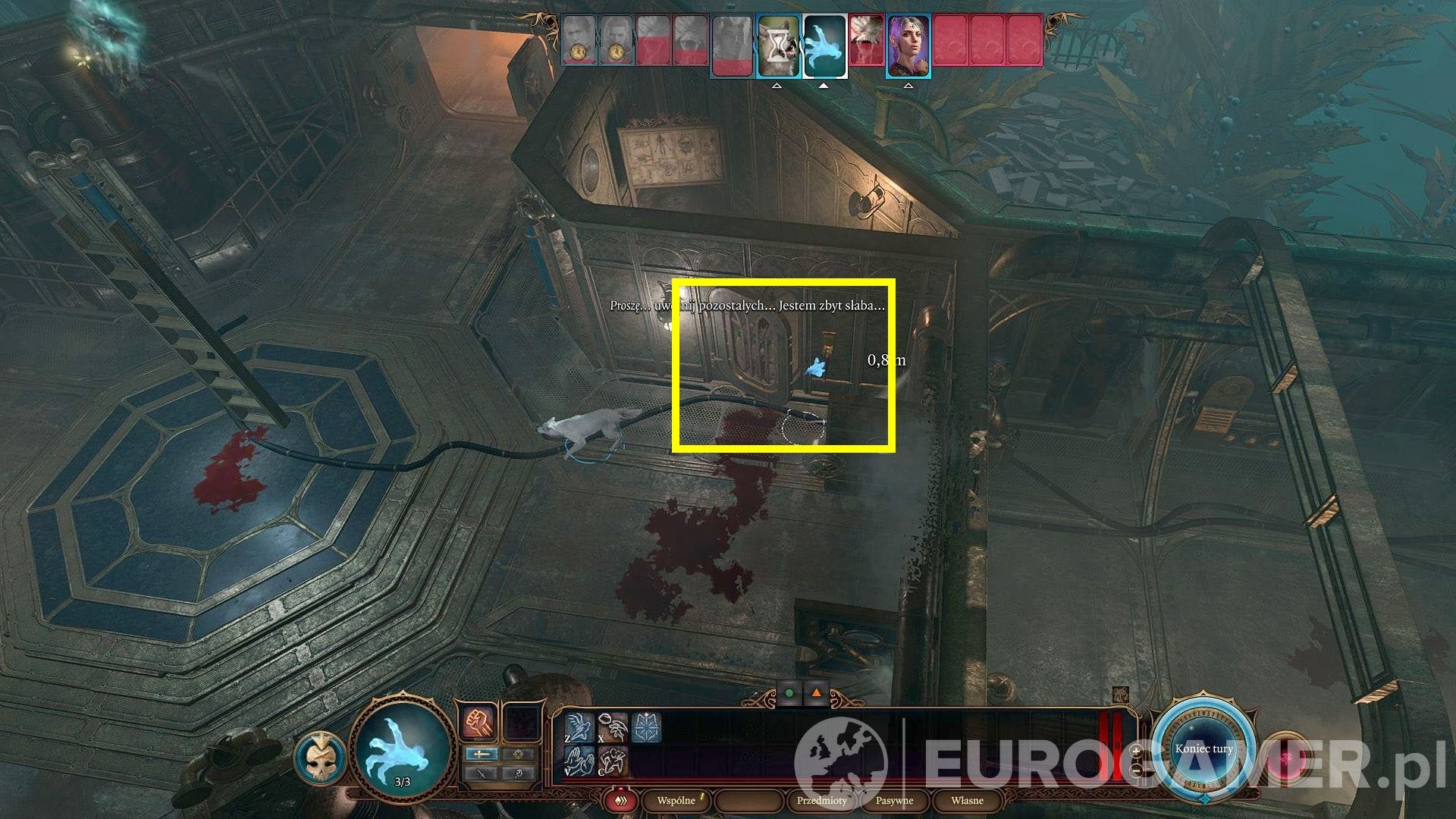 Baldur's Gate 3 - Uratuj gondian | Eurogamer.pl