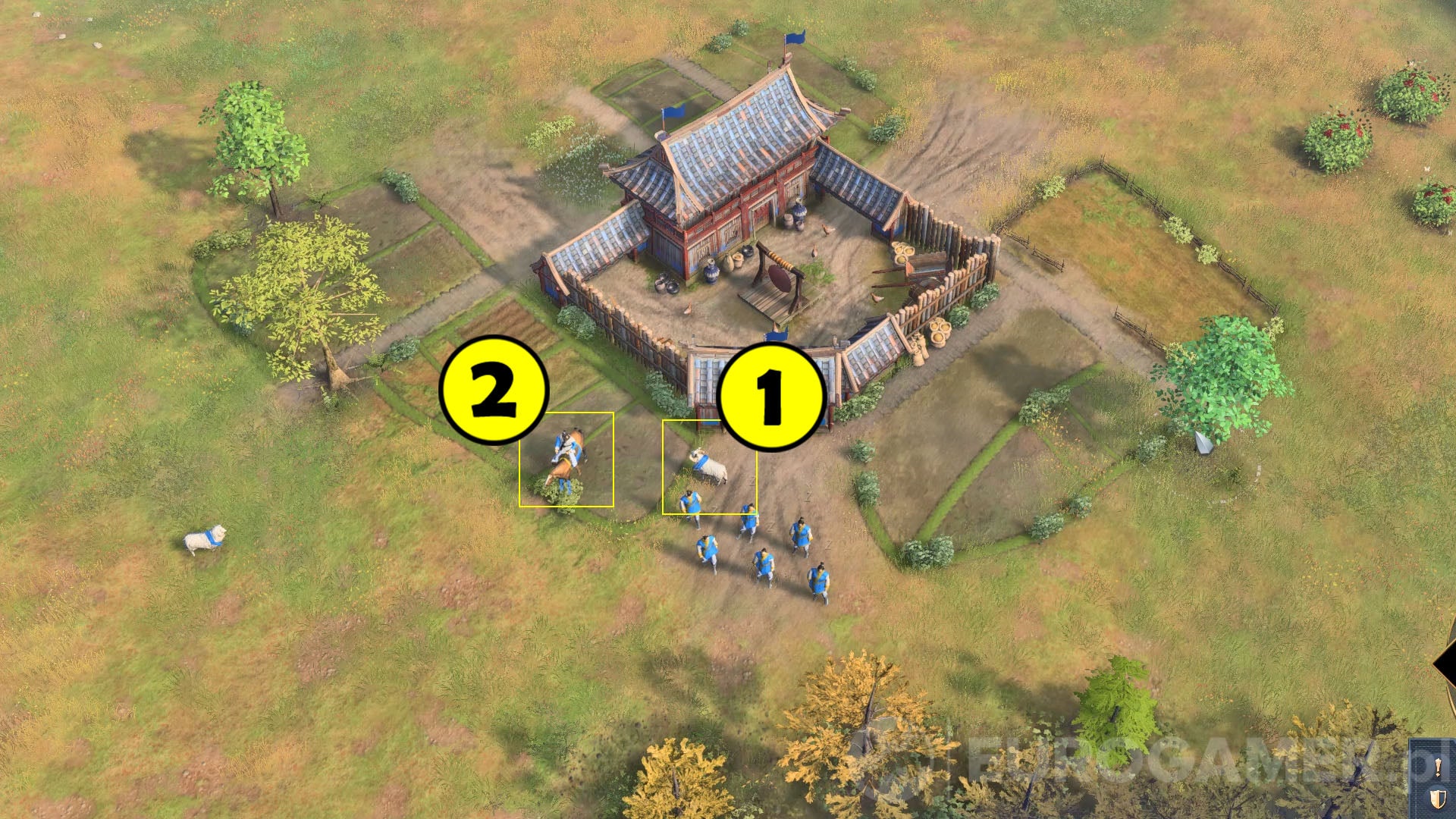 Age of Empires 4 - owce, sheep: przejmowanie, kontrola | Eurogamer.pl