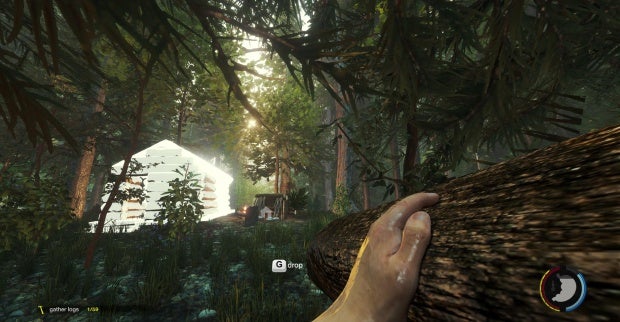 A Log Book: The Forest Diary Part One | Rock Paper Shotgun