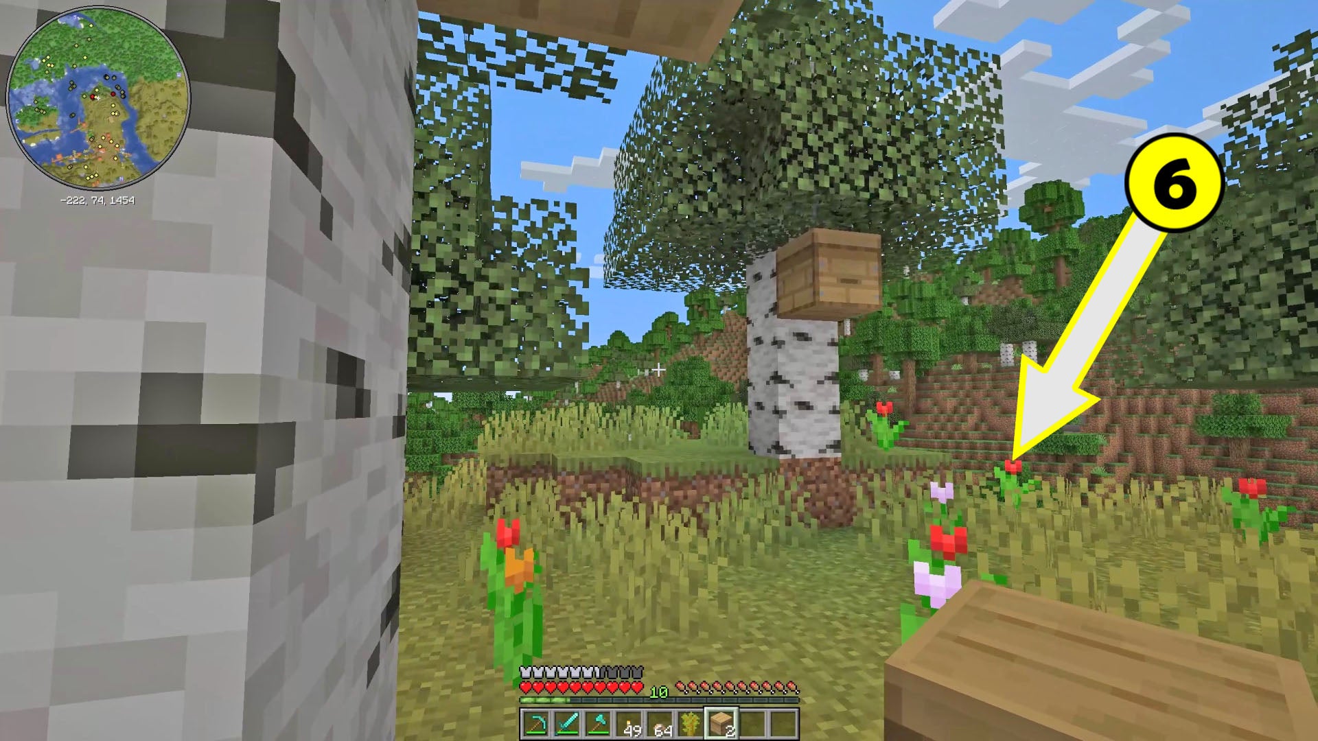 Minecraft - pszczoły: miód, ule, hodowla | Eurogamer.pl