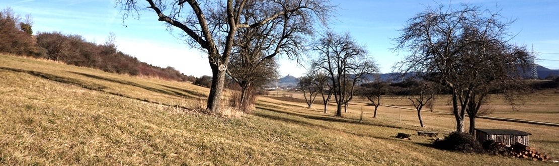 Pokémon Go - How to find Pokémon in spawn locations, biomes and using ...