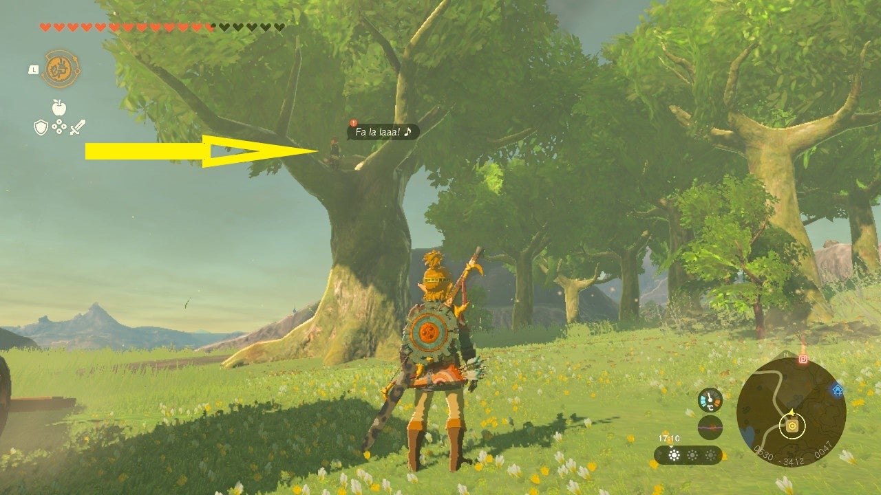 Zelda: Tears of the Kingdom: Eine Serenade für Caesa - Feyn (Flöte) finden, Felsbrocken ...