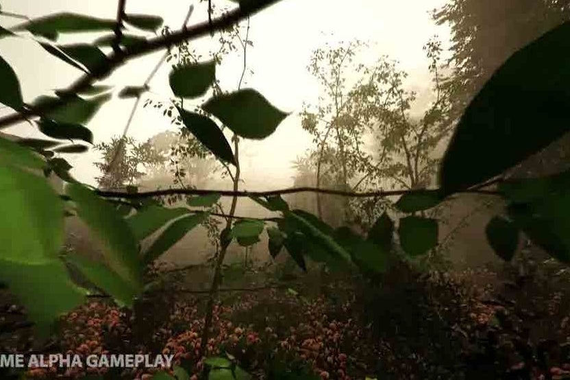 PC and Oculus Rift survival horror The Forest is beautiful and ...