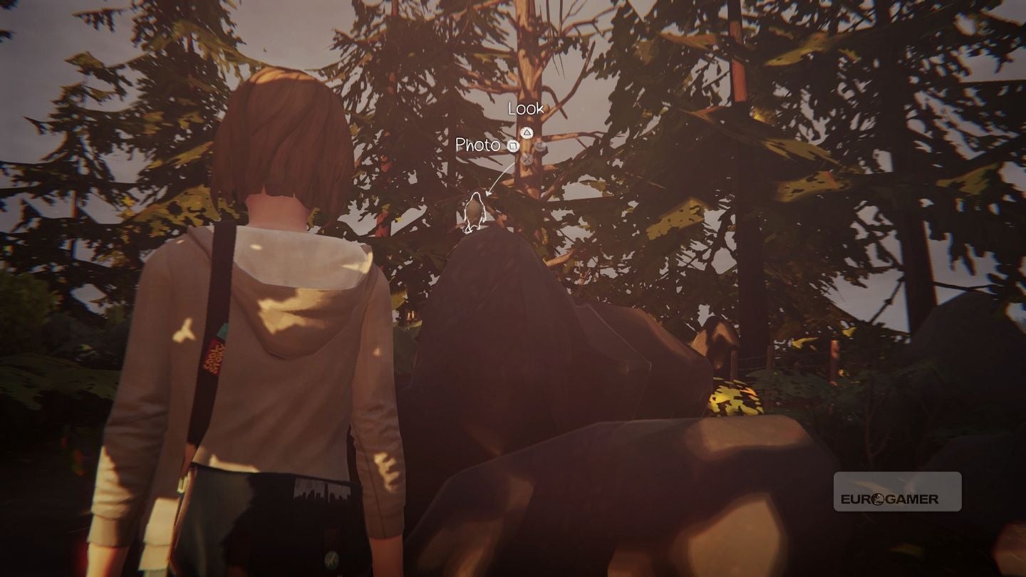 Life Is Strange photo locations guide - find every collectible across ...