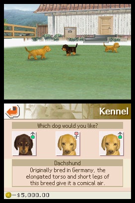 Nintendogs store