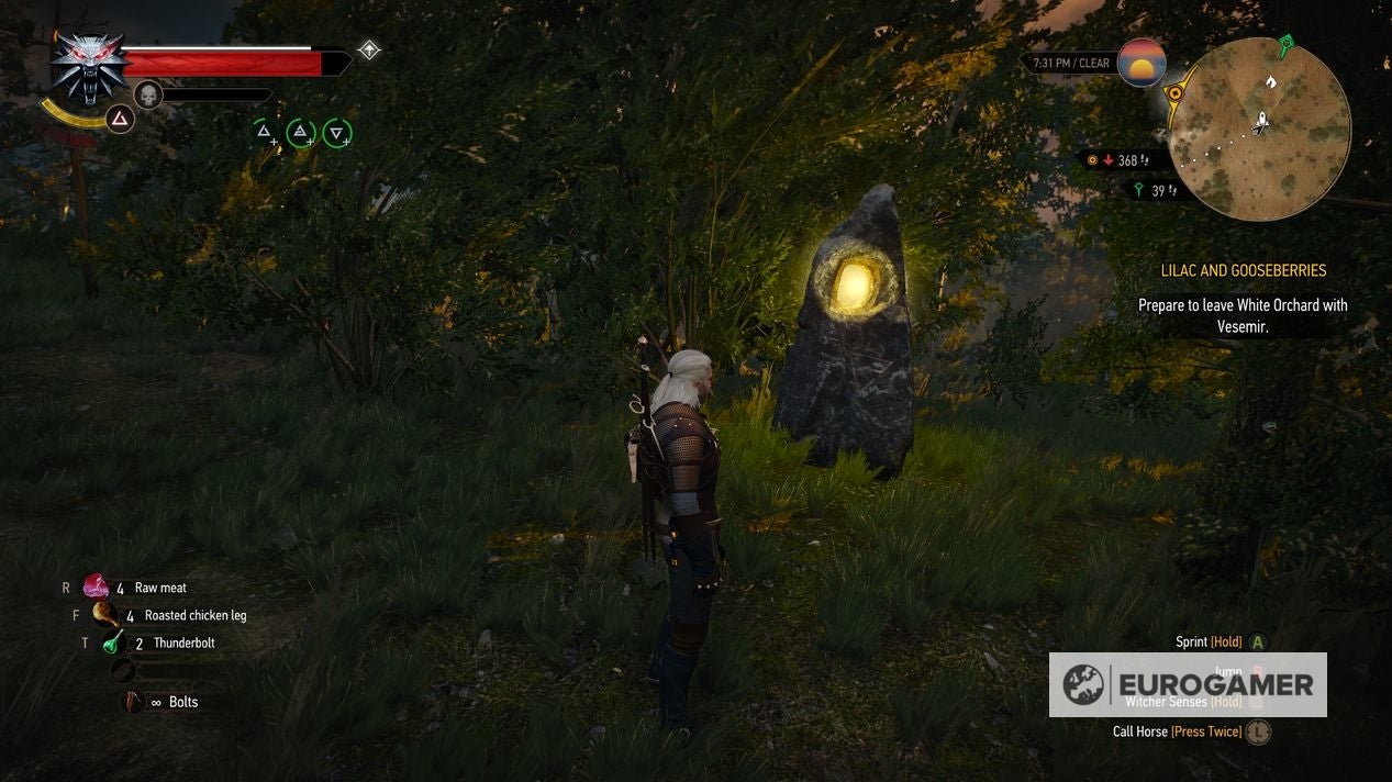 The Witcher 3 Places of Power locations list | Eurogamer.net