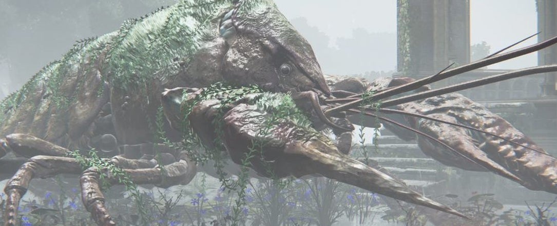 Elden Ring: Trinas Lilie, Sprießendes Horn, Weißes Fleisch, Vulkanstein ...