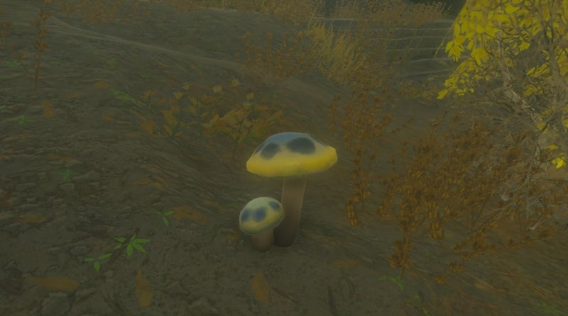 Zelda Tears of the Kingdom: Gamma-Elitekonstrukt-Horn, Geflügel ...