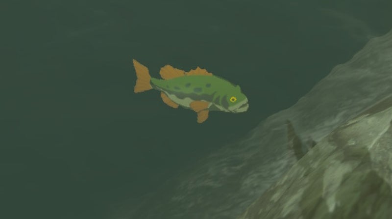 Zelda Tears of the Kingdom: Gamma-Elitekonstrukt-Horn, Geflügel ...