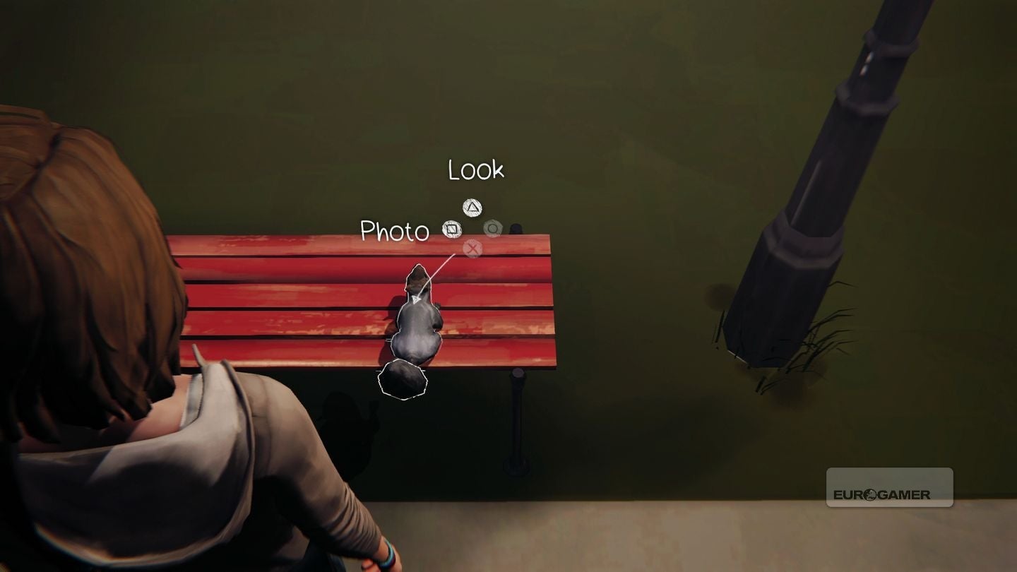 Life Is Strange photo locations guide - find every collectible across ...