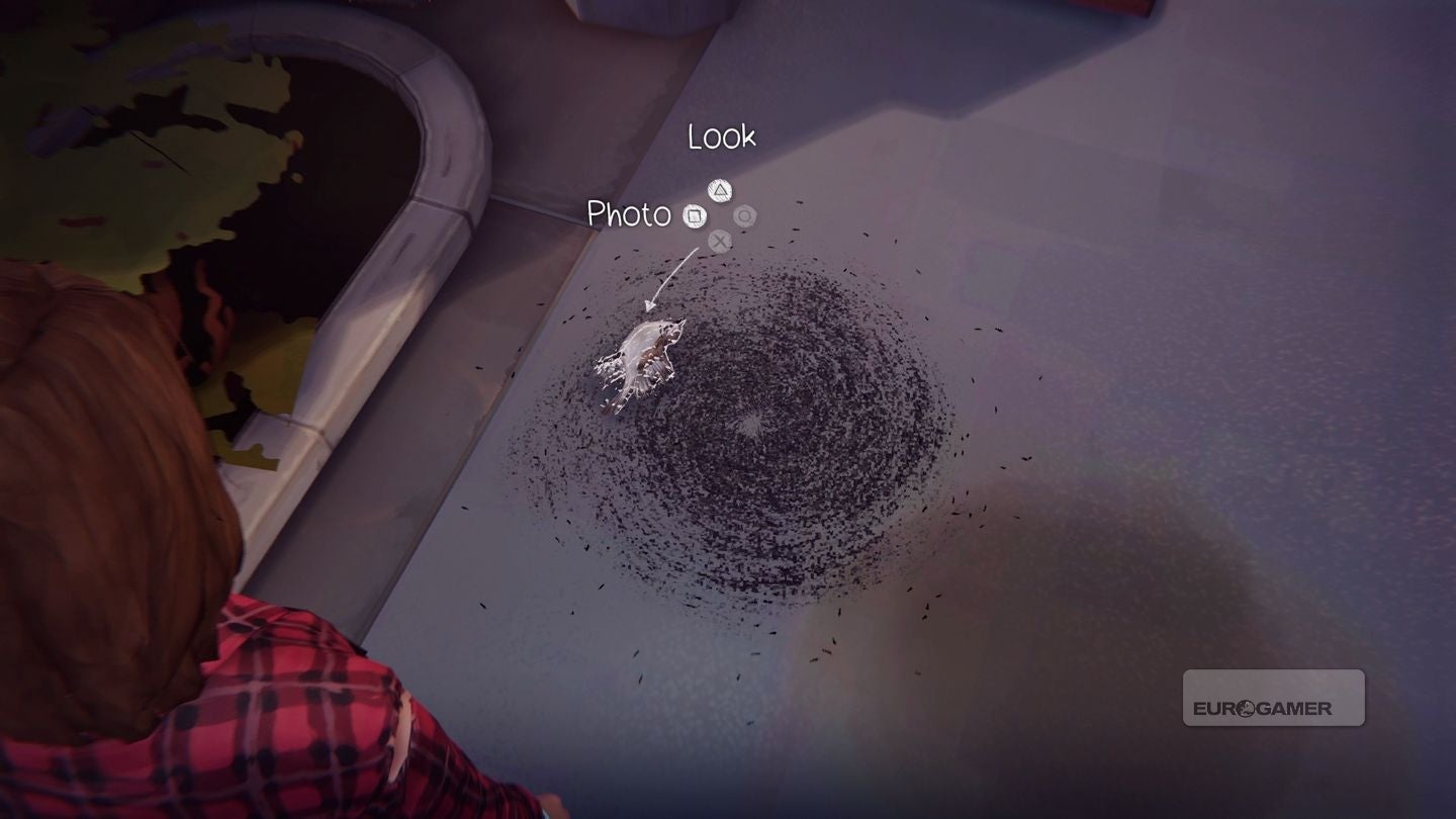Life Is Strange photo locations guide - find every collectible across ...