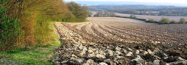 Pokémon Go - How to find Pokémon in spawn locations, biomes and using ...