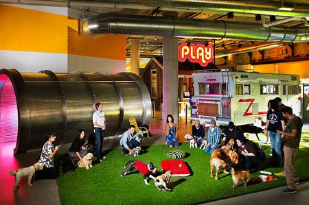 Zynga staff vent over stock price collapse | GamesIndustry.biz