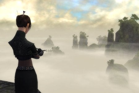 NCsoft confirms Guild Wars 2 on console | Eurogamer.net