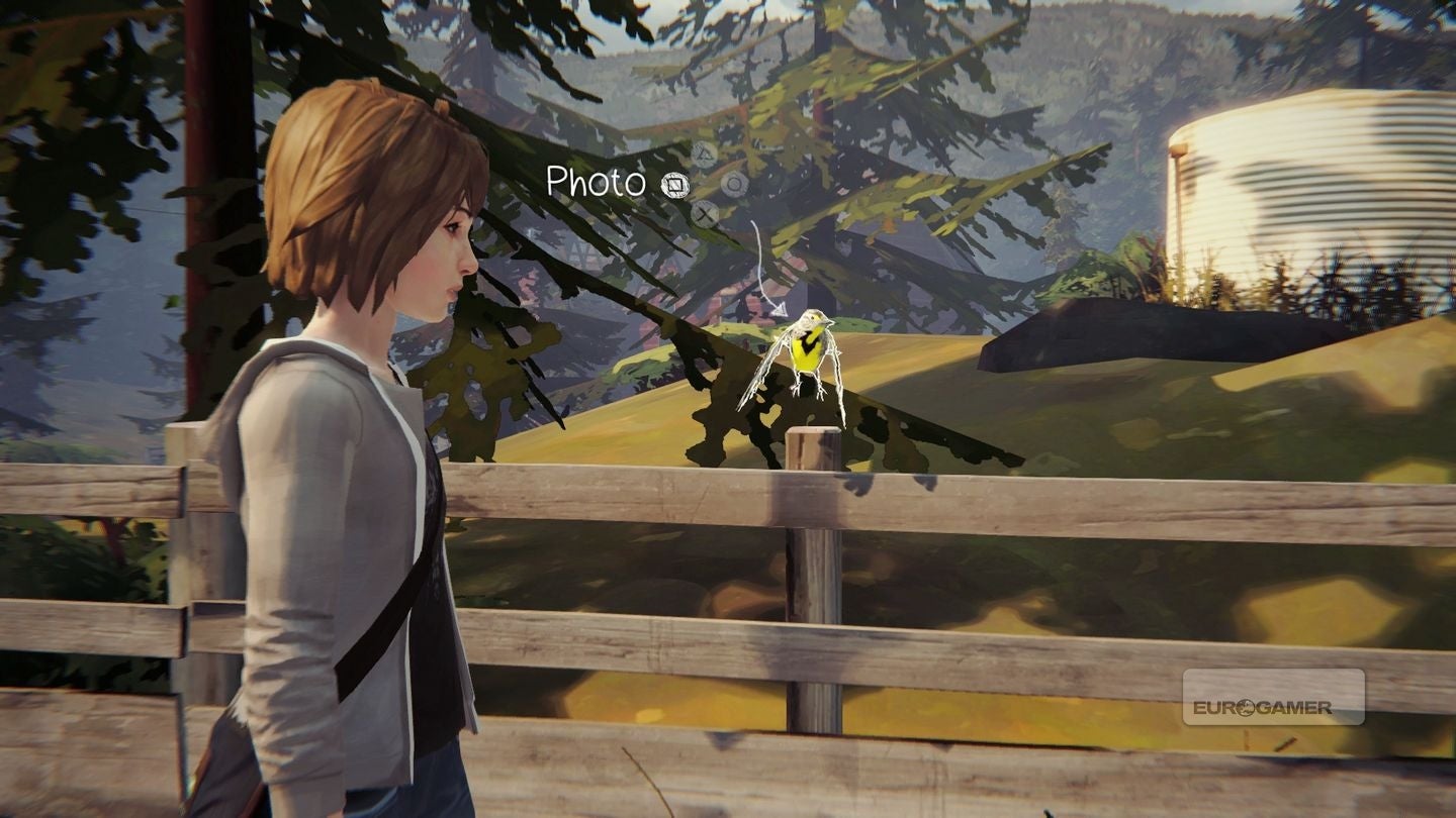 Life Is Strange photo locations guide - find every collectible across ...