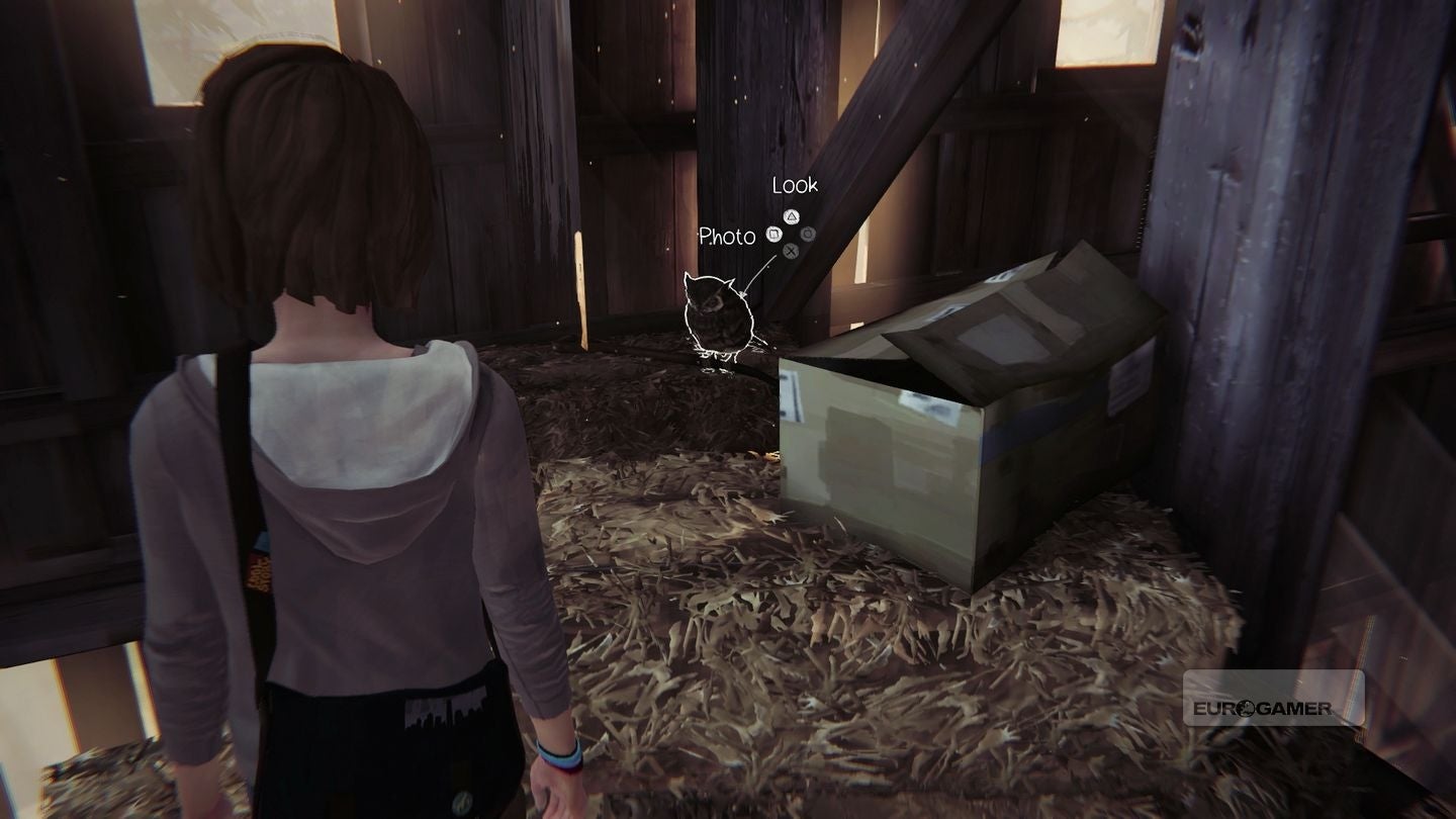 Life Is Strange photo locations guide - find every collectible across ...