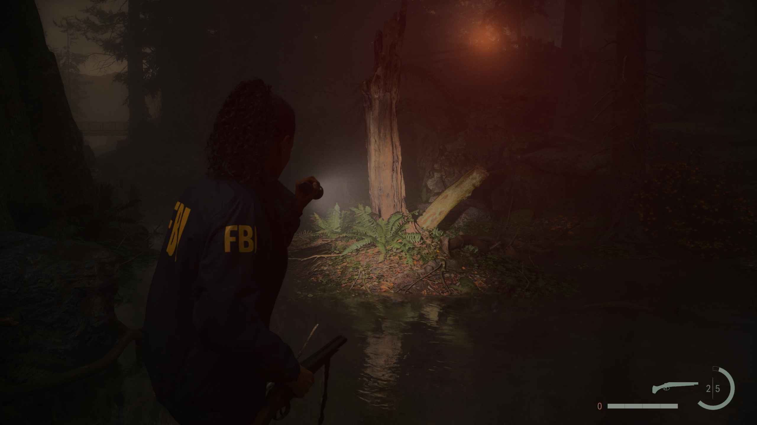 Alan Wake 2 PC performance and best settings | Rock Paper Shotgun