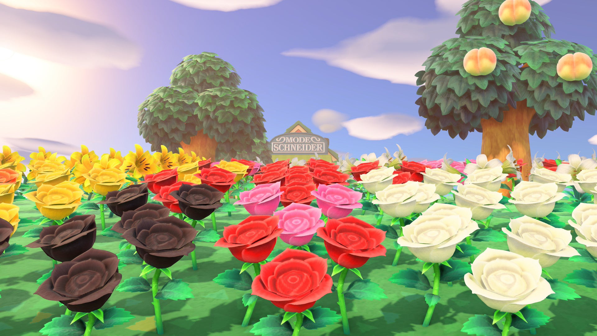 Animal Crossing: New Horizons Switch 2 Upgrade im Test - fast geschenkt ...