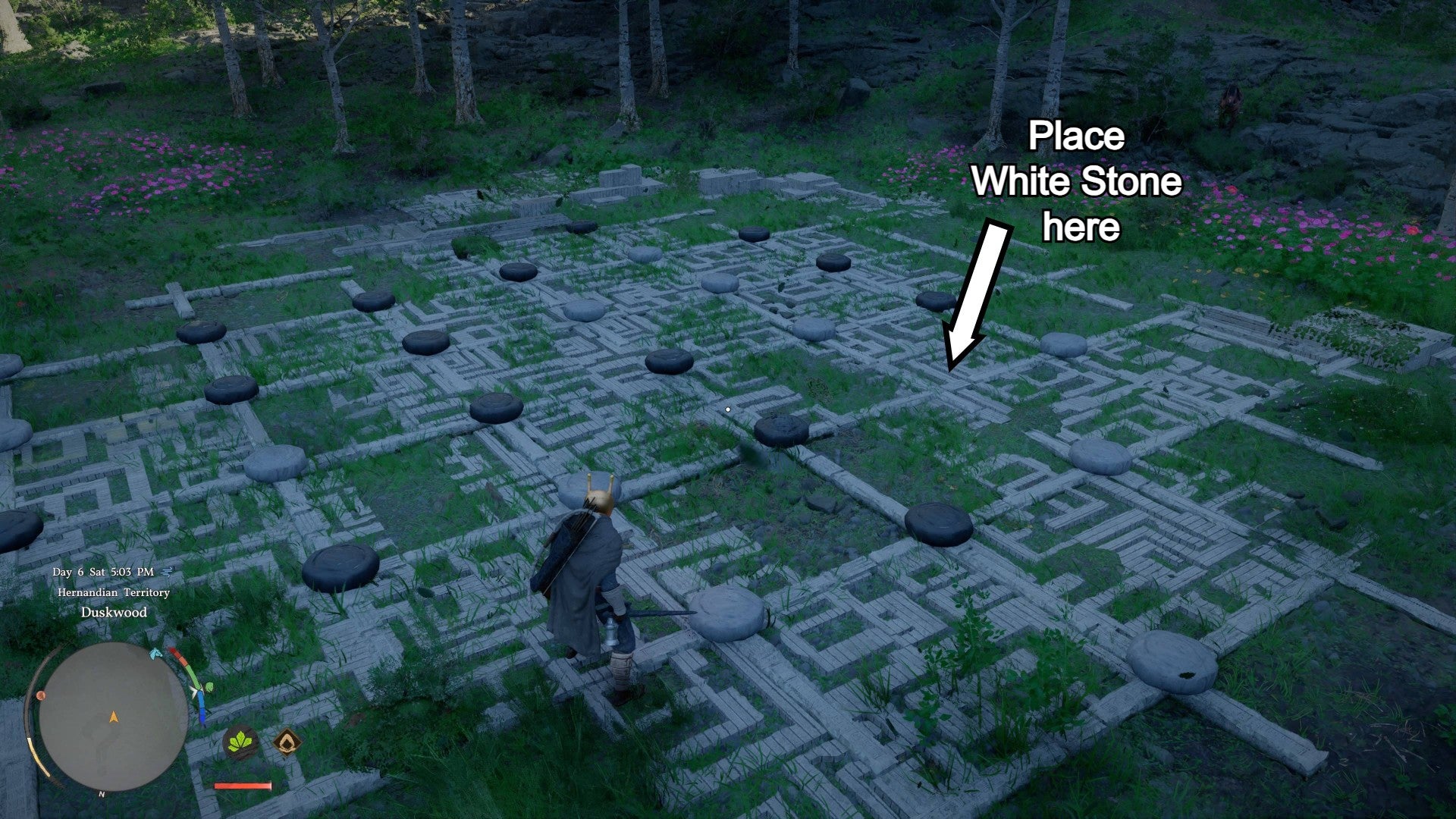 Crimson Desert Duskwood Waterside Ruins checkers puzzle solution ...