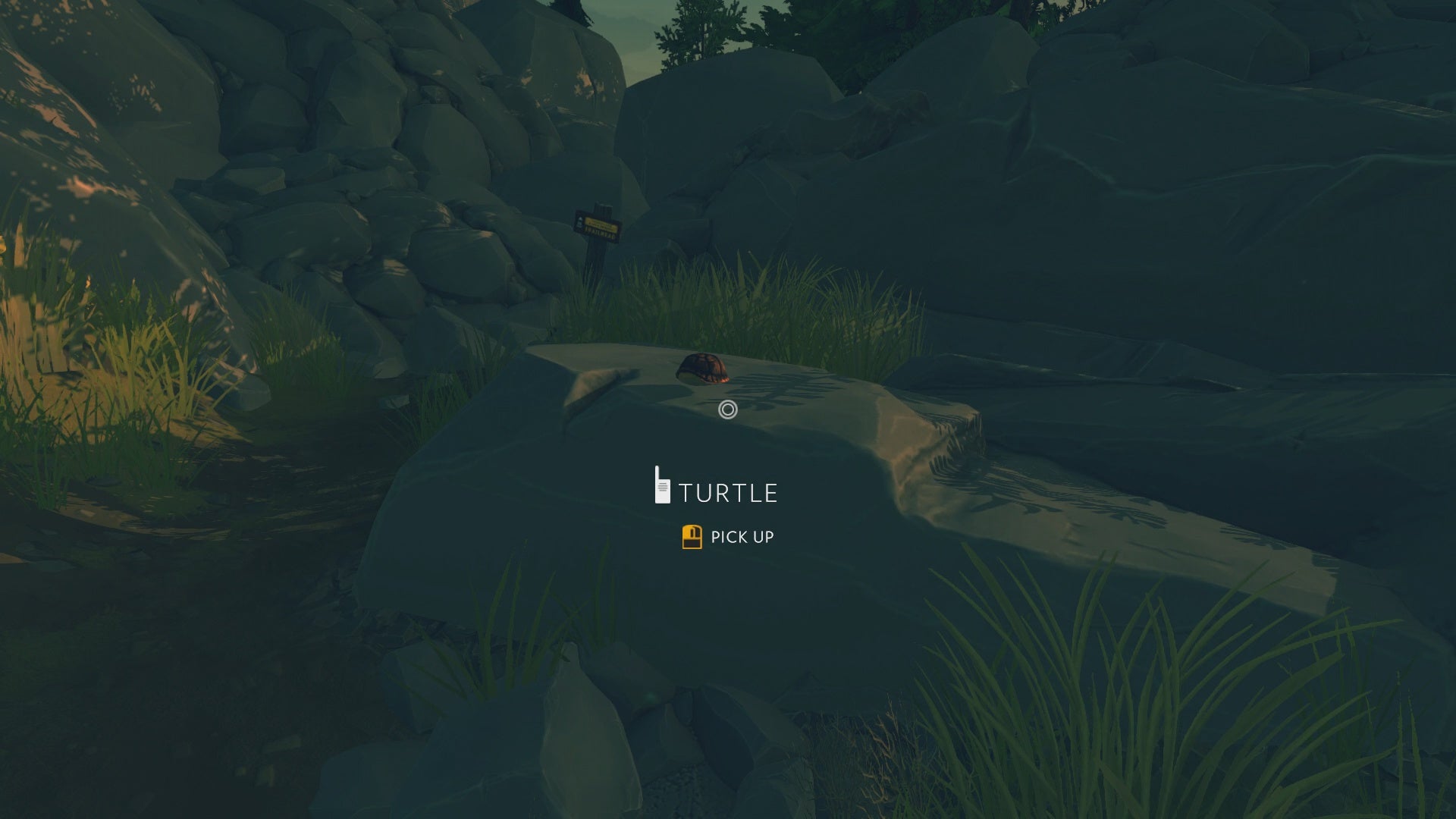 Firewatch - How to Find a Turtle Pet | VG247