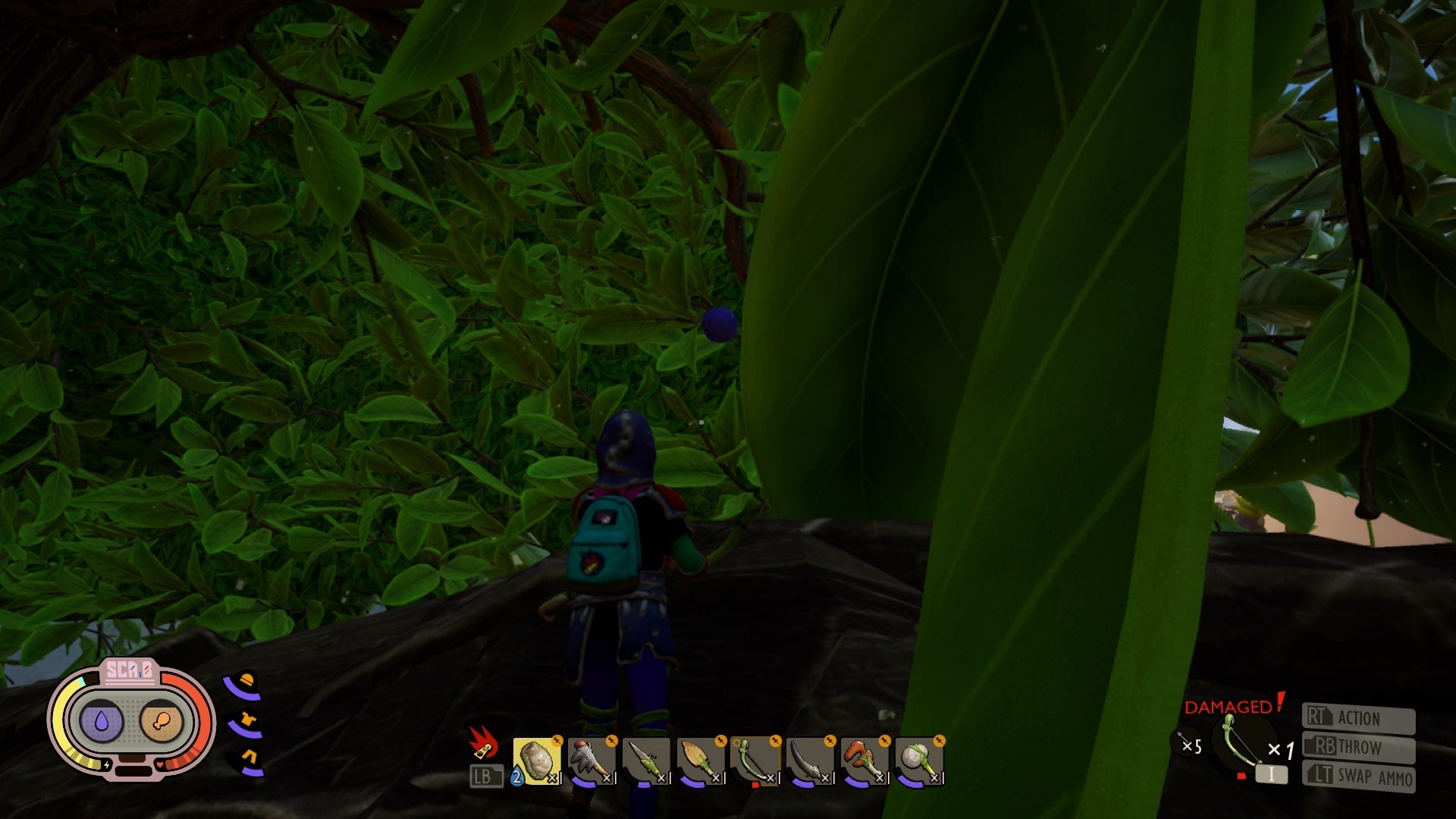 Grounded: How to Get Berry Leather | VG247