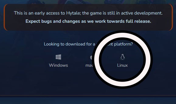 How to install Hytale on Steam Deck | Eurogamer.net