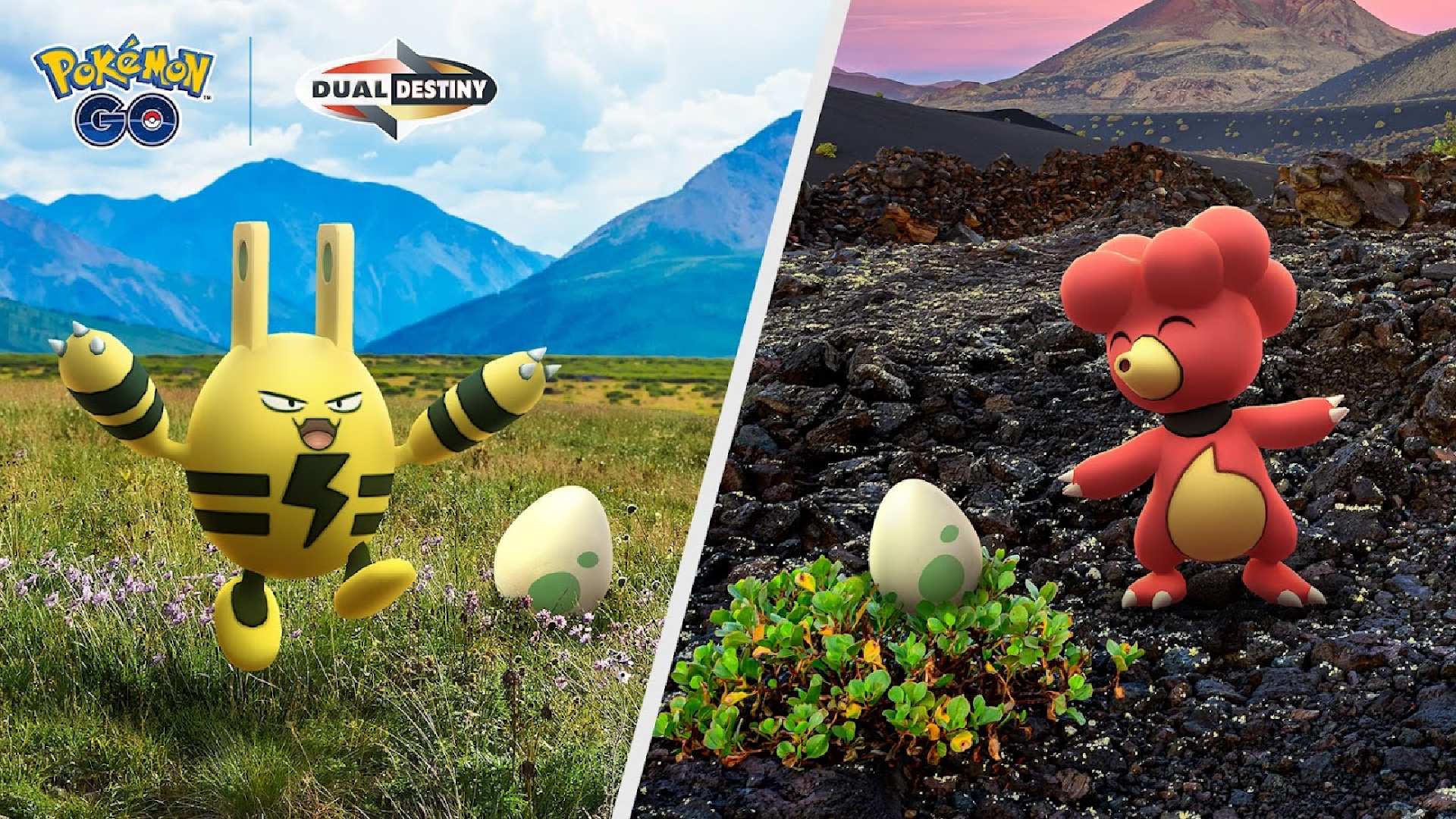 Wie Sieht Ein Glänzendes Pokemon Ei Aus In Pokémon Karmesin Könnt