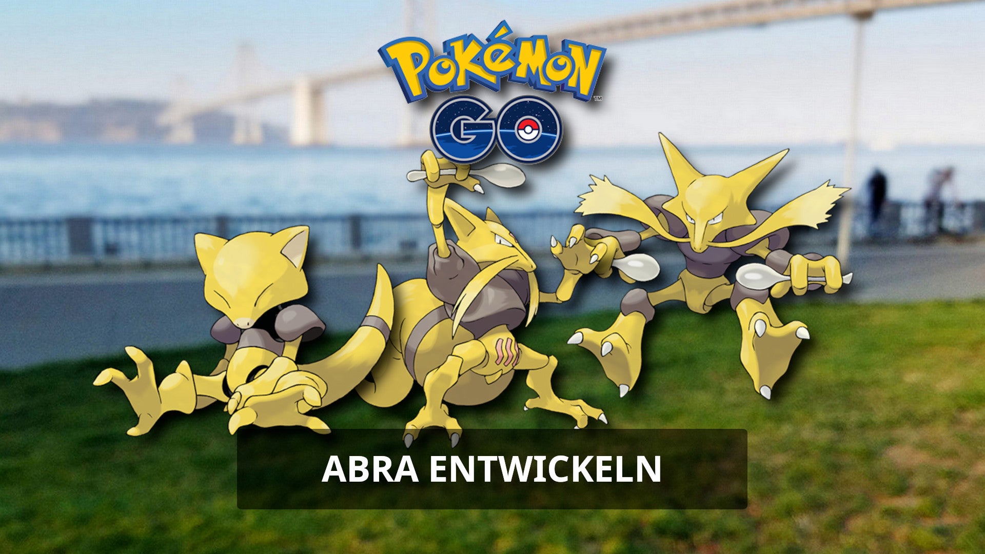 Pokemon Abra Pokémon Abra Pokéball – 7 Cm Spielzeug Für Kinder