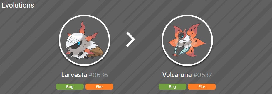 Larvesta Evolution Watch : Evolving Volcarona From Larvesta & Complete