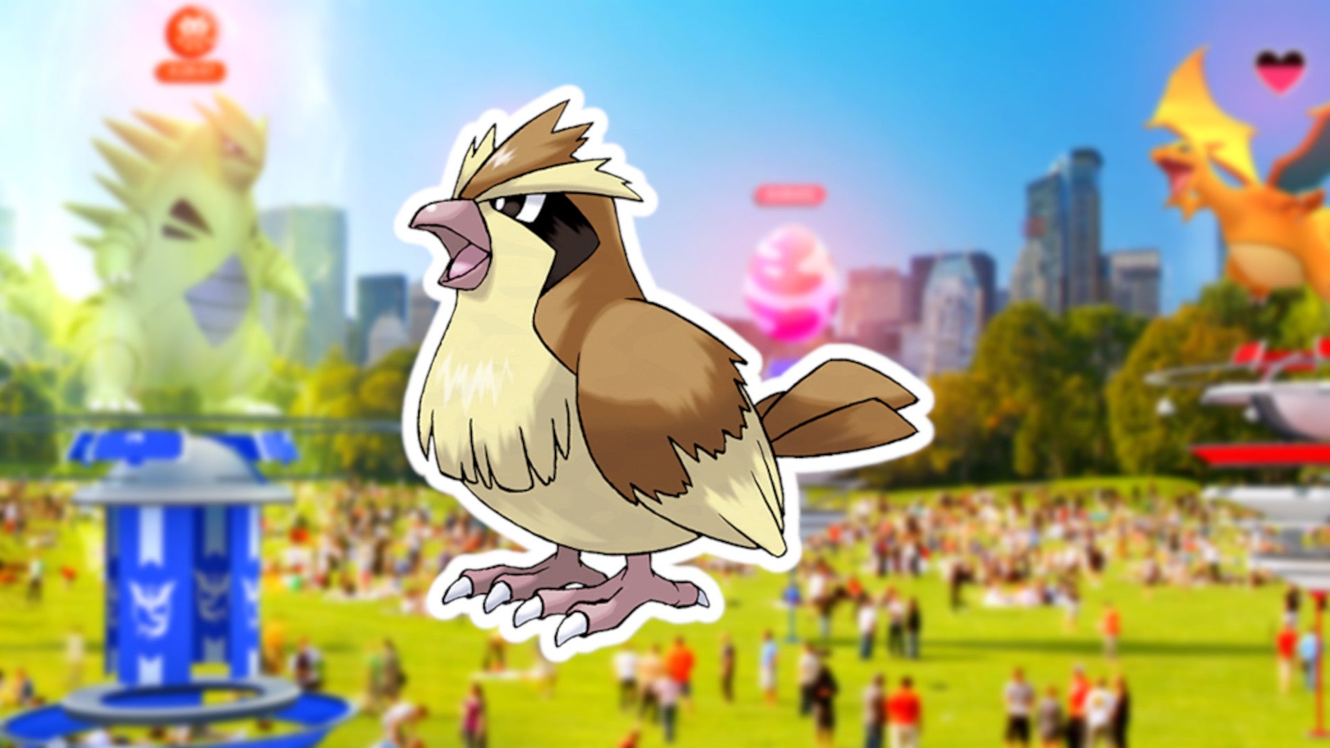Taubsi Evolutionsstufe Pokémon Go Was Ich In Einer Woche Gelernt
