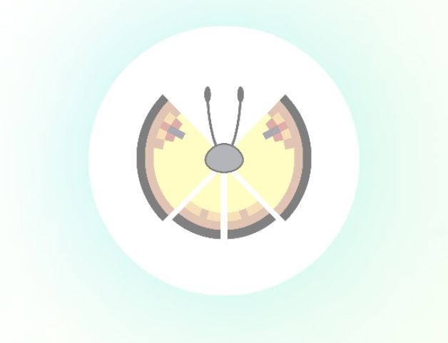 Pokémon Go Vivillon map, Vivillon patterns and how to get Scatterbug ...