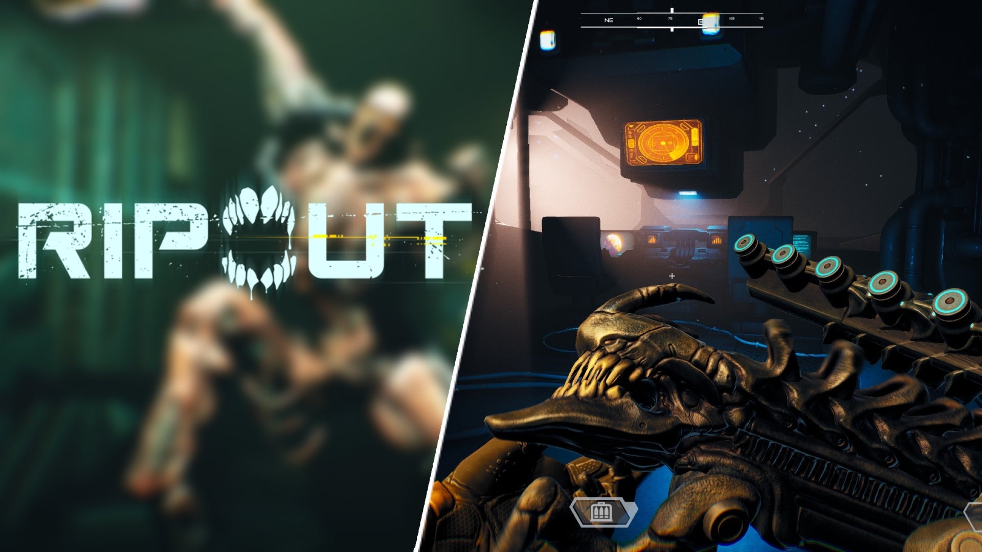 Pet Project Games | VG247