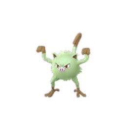 Pokémon Go: Menki - 100 % IV und wie Shiny Rasaff aussieht | Eurogamer.de