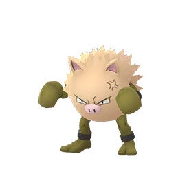 Pokémon Go: Menki - 100 % IV und wie Shiny Rasaff aussieht | Eurogamer.de