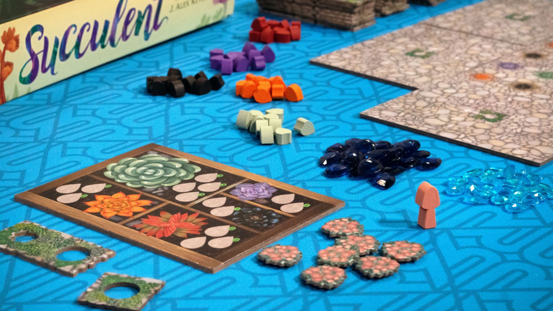 Design your own beautiful garden with upcoming board game Succulent ...
