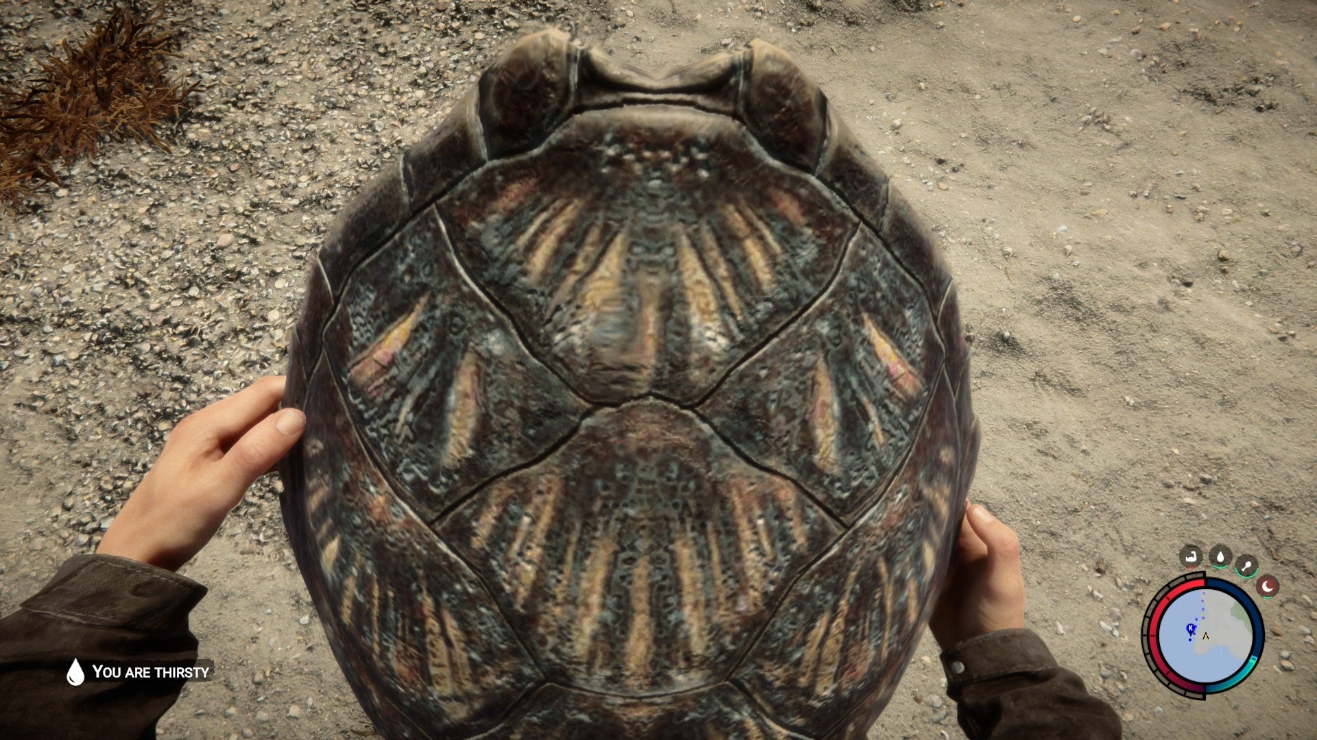 How to get and drink water in Sons of the Forest, including flask ...