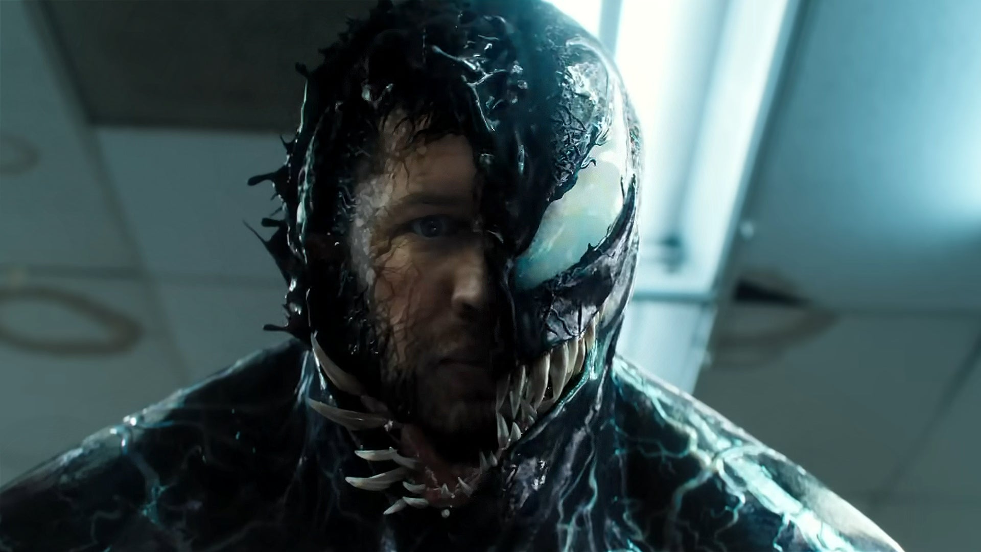 Sony plant Spider-Man-Reboot: Konsequenzen nach Madame Web- und Morbius ...