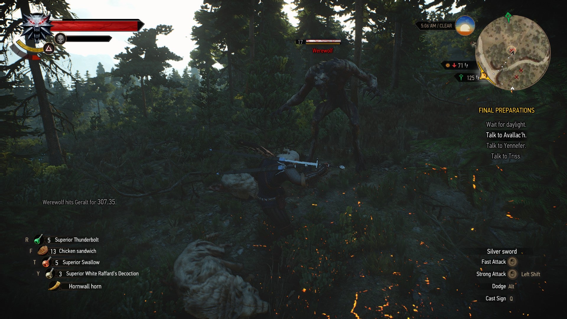 The Witcher 3: How to defeat werewolves and stop their health regen ...