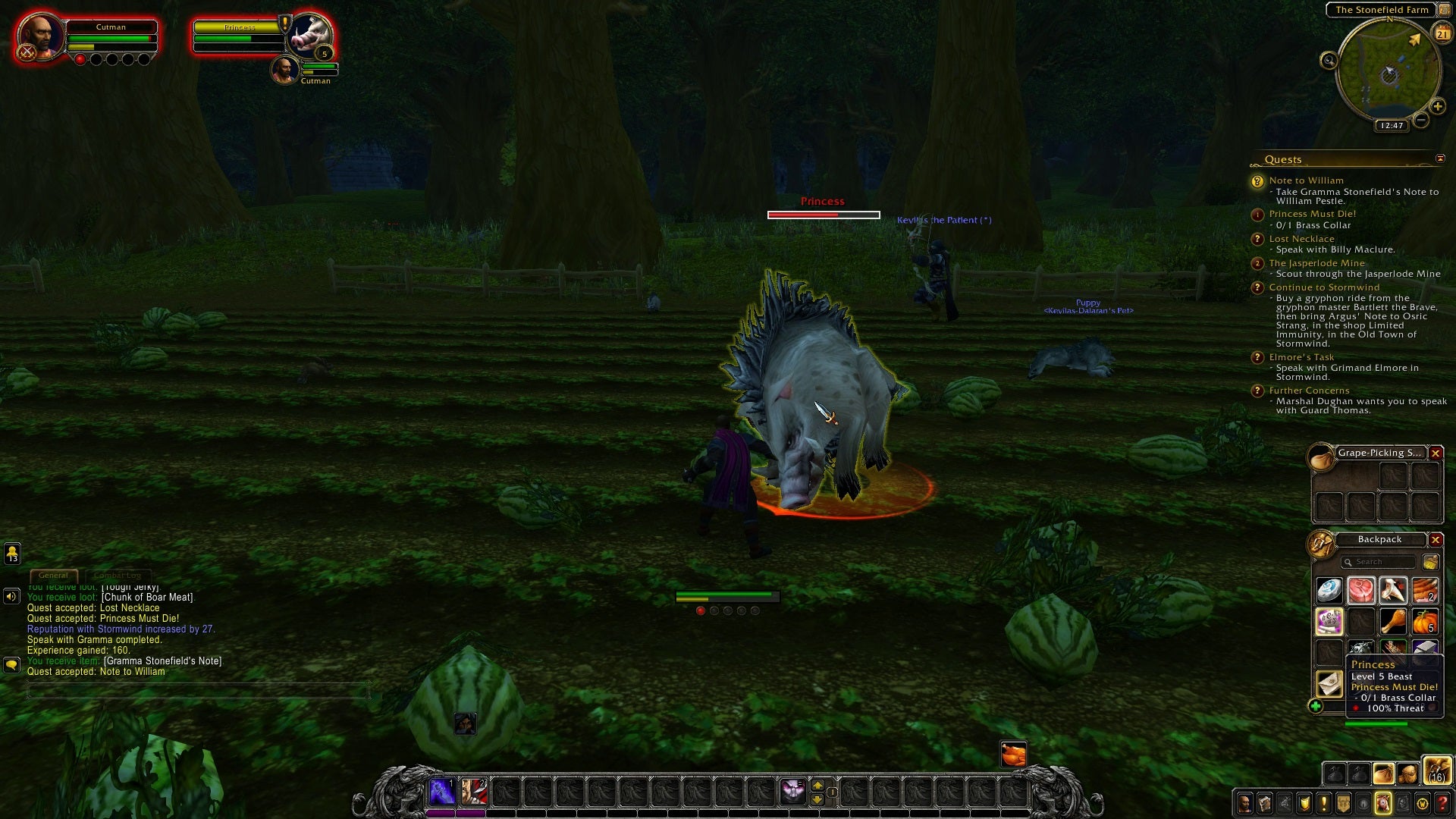 WoW Classic vs. Modern: What Has Changed Over the Past 15 Years | VG247