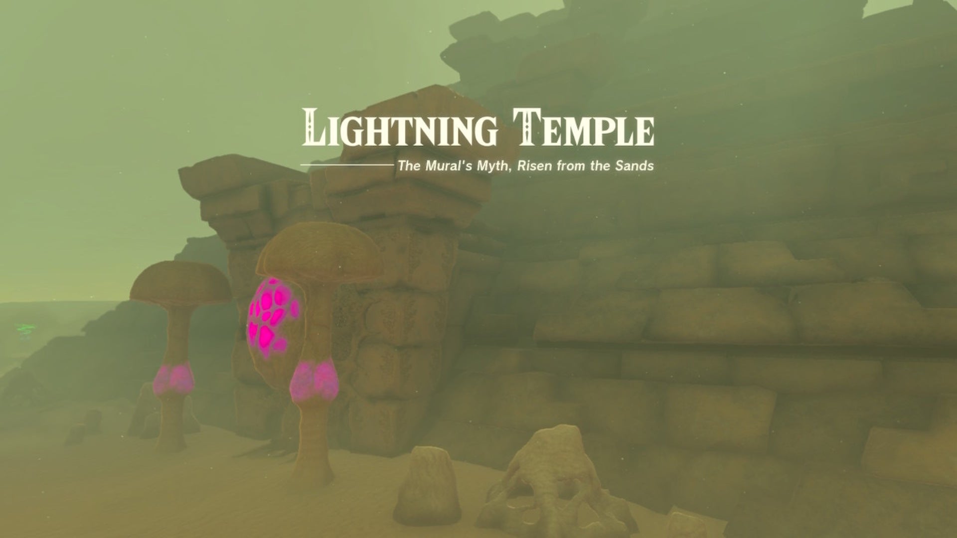 How to complete the Lightning Temple in Zelda: Tears of the Kingdom | VG247