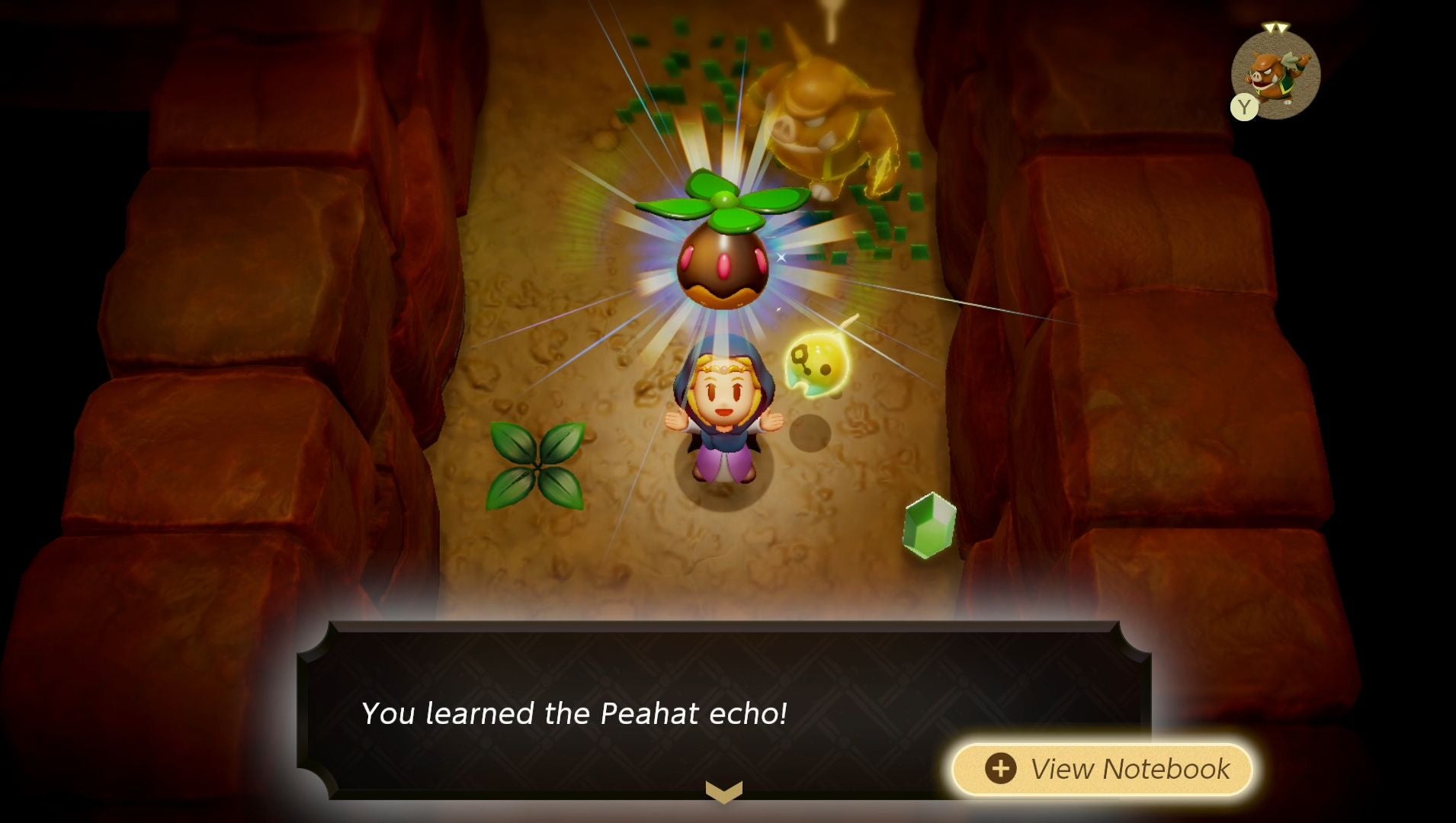 Zelda Echoes of Wisdom Finding the Flying Plant walkthrough | Eurogamer.net