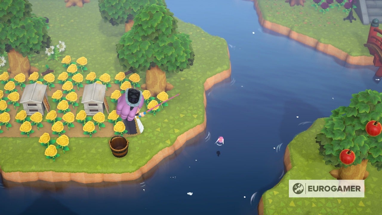 Animal Crossing Turtles: How to catch a Soft-shelled Turtle and ...
