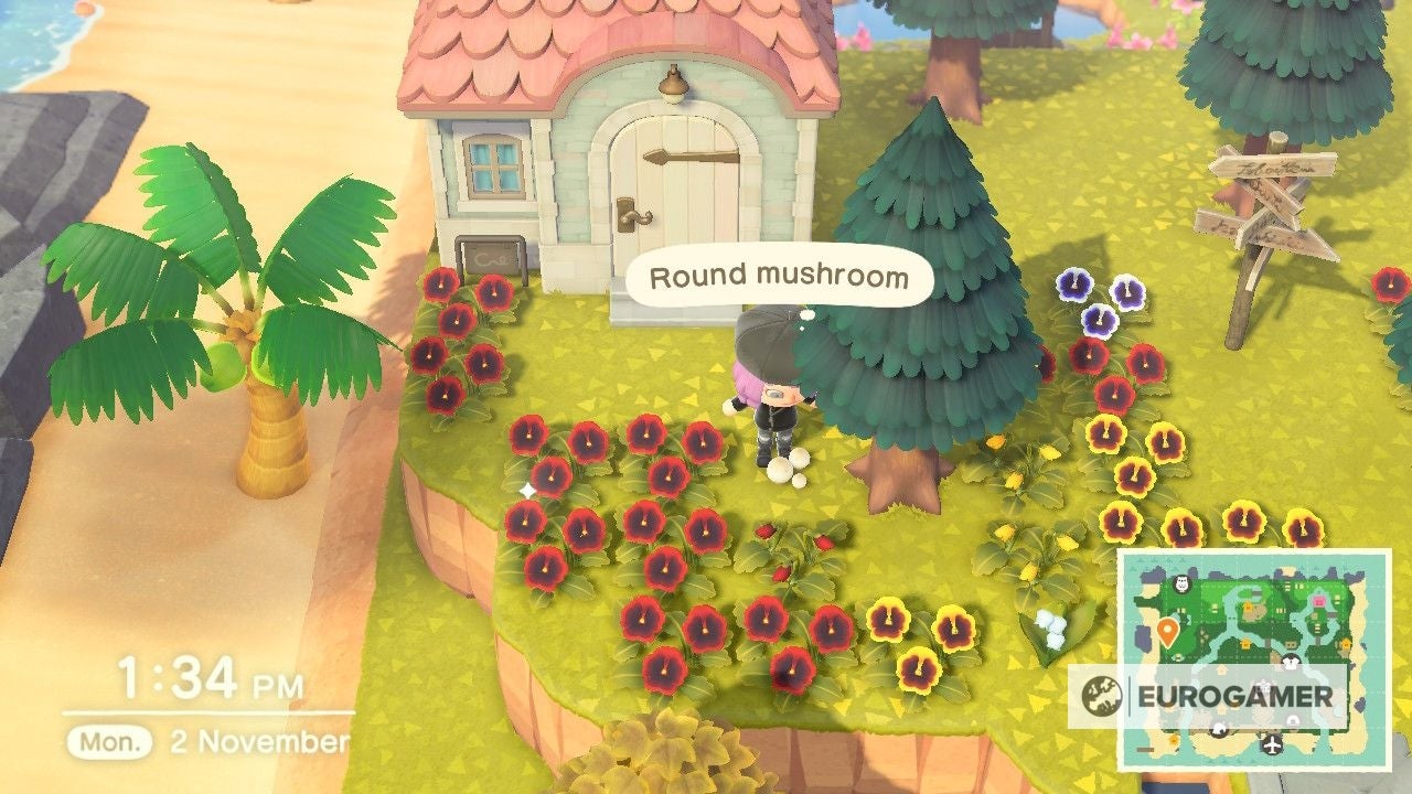 Animal Crossing - Mushrooms: How to get elegant, flat, rare, round and ...