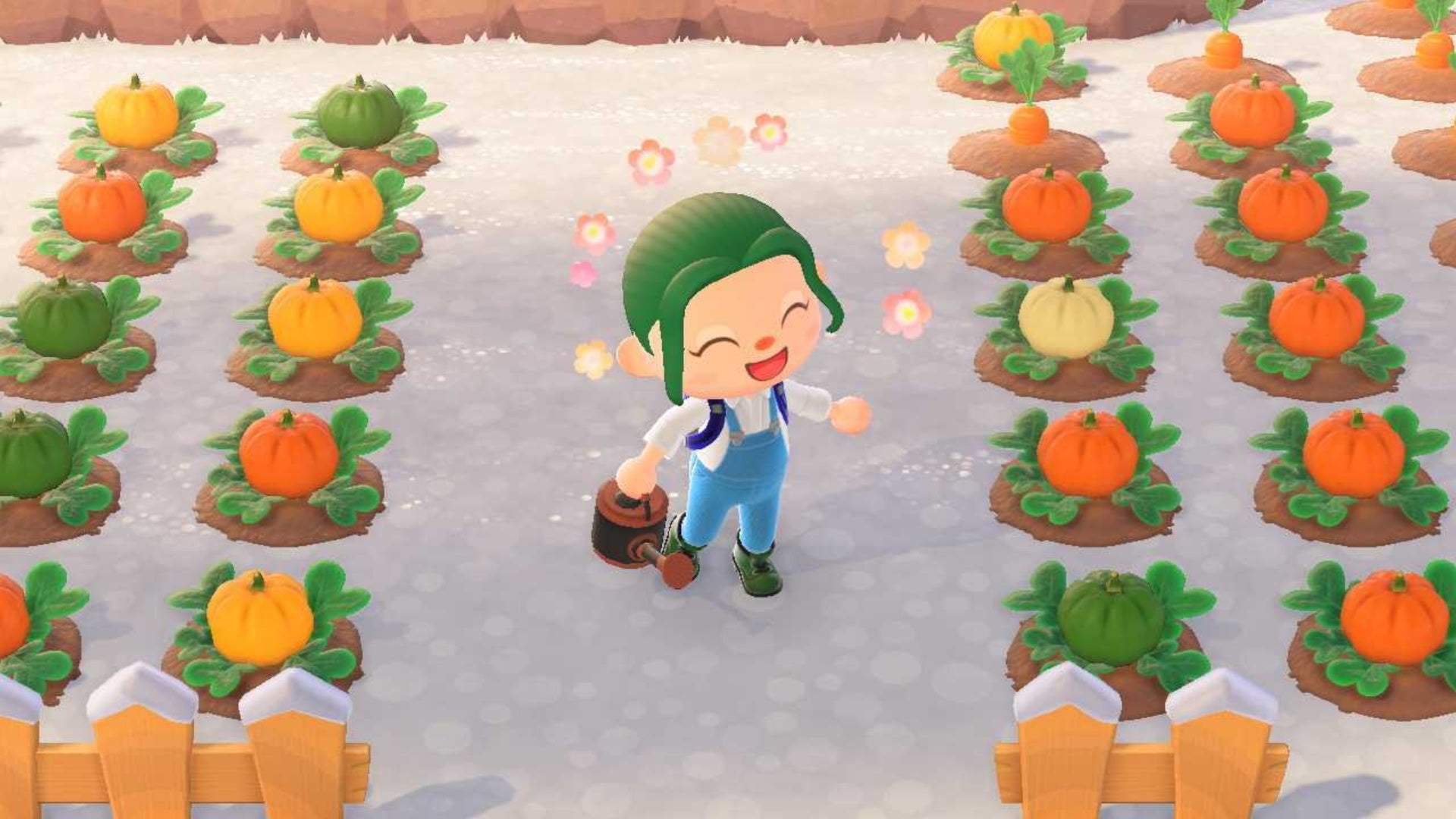 All January Fish in Animal Crossing New Horizons | Eurogamer.net