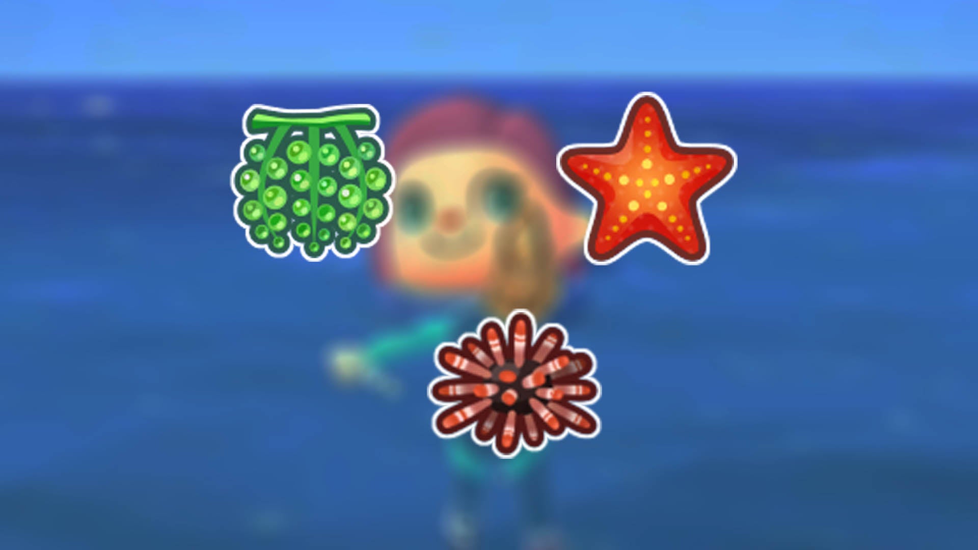 All January Sea Creatures in Animal Crossing New Horizons | Eurogamer.net