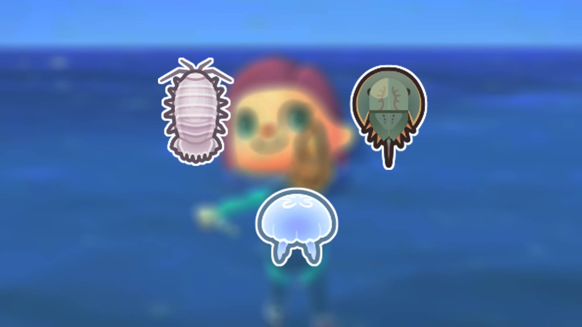 All January Sea Creatures in Animal Crossing New Horizons | Eurogamer.net